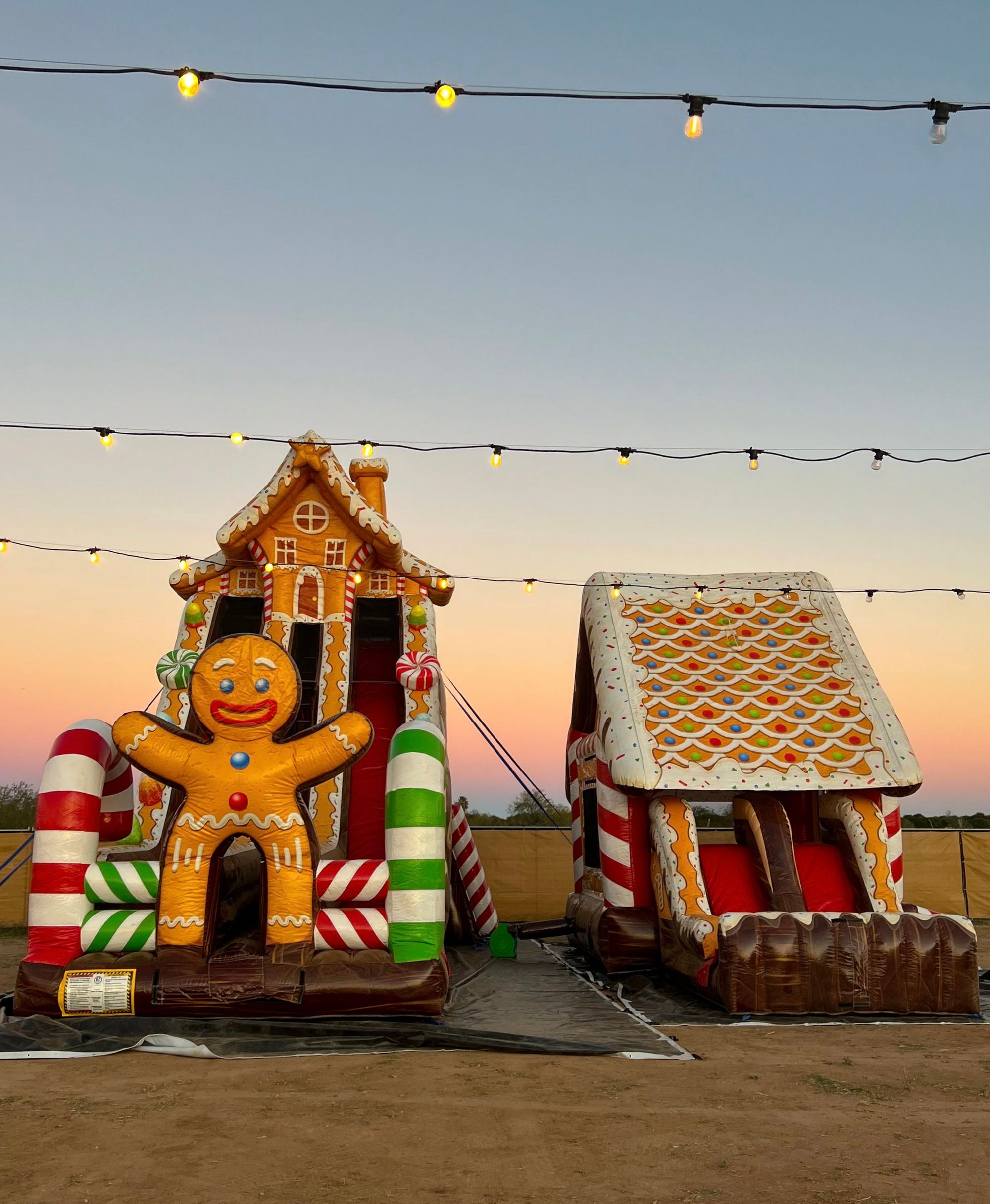 Attractions | See Our 2025 ‍Can’t Miss Attractions at Desert Farm Lights